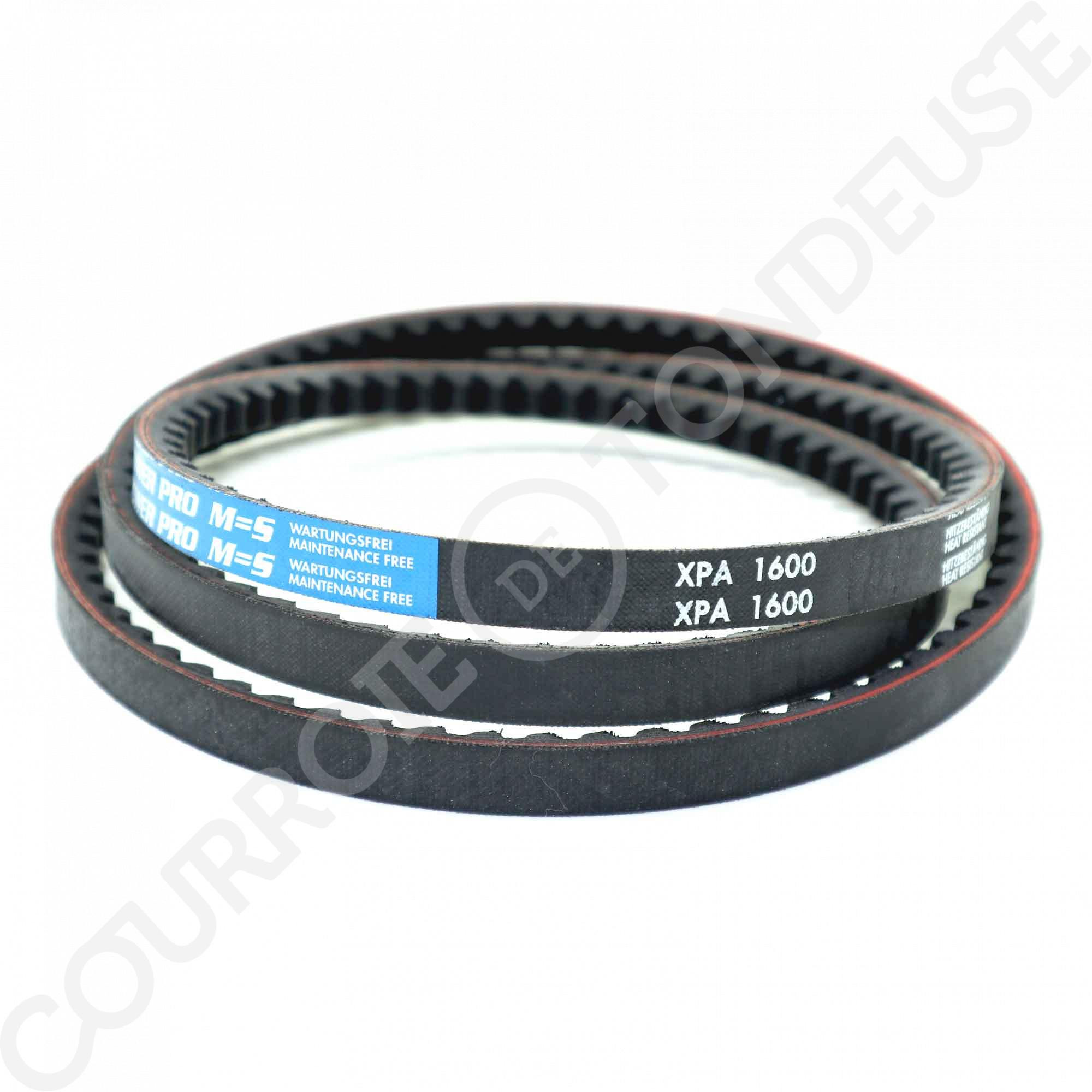 Courroie trapézoïdale crantée XPA1600 | Courroie de Tondeuse